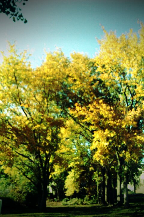 Photo gallery: Kansas in autumn, 2011 | News, Sports, Jobs - Lawrence ...